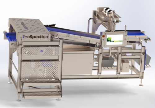 System for detection and removal of low-density foreign material ...